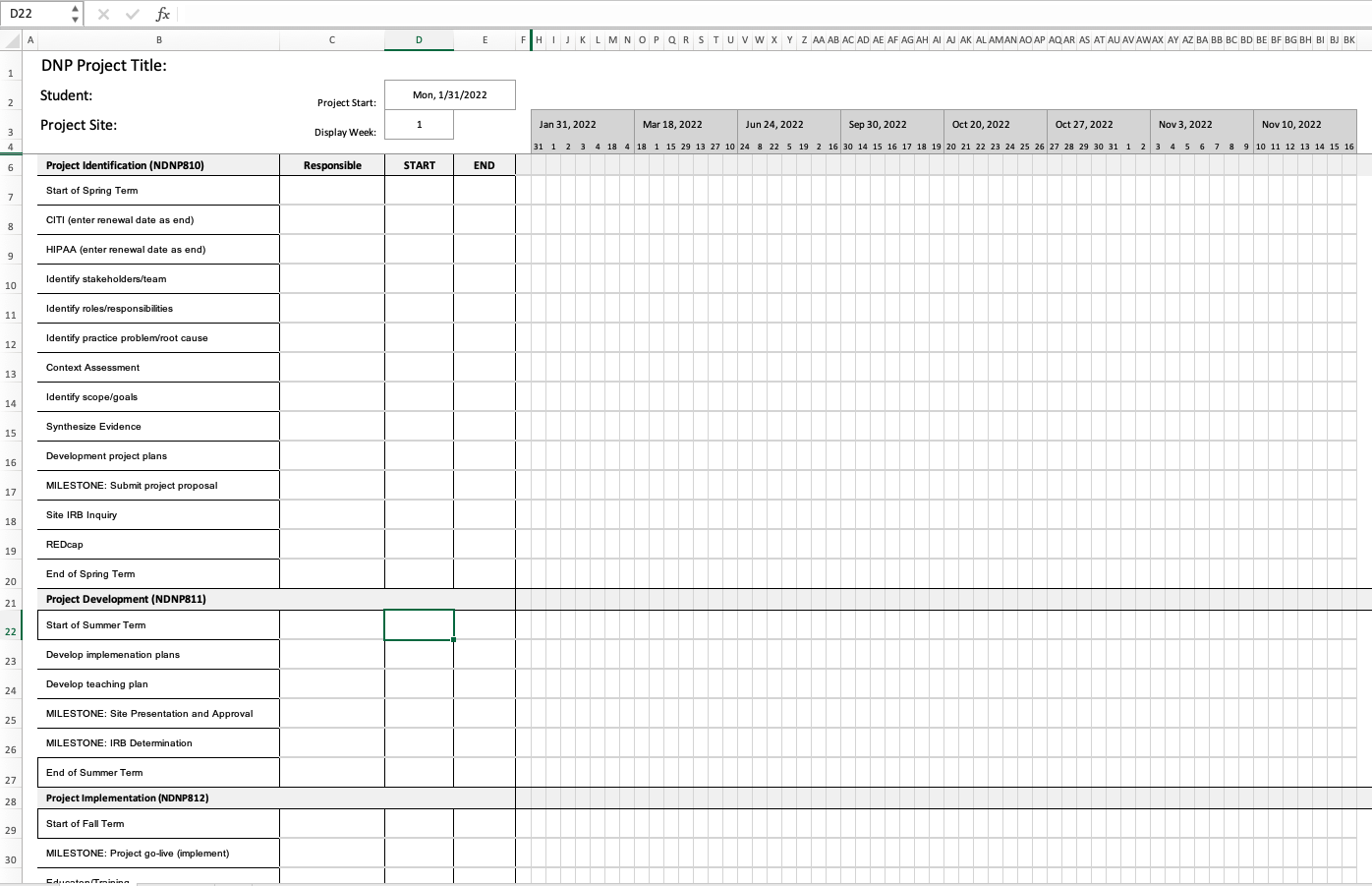DNP Project Gantt Chart Template | Guide | Good DNP Projects
